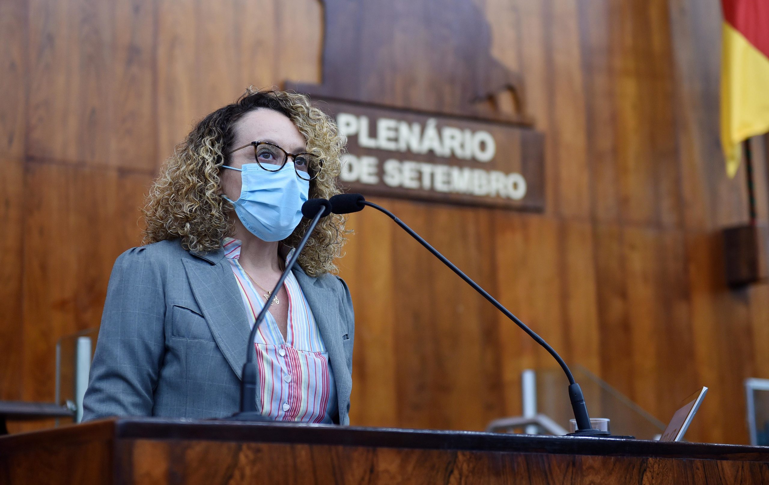 Luciana Genro questiona secretária de Educação sobre atrasos em obras ...